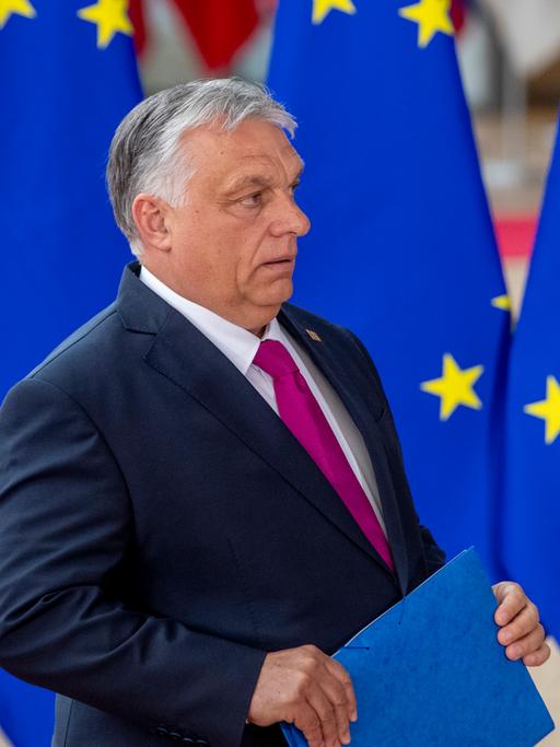 Mittelkürzung wegen Korruption - Wie soll die EU mit Ungarn umgehen ... Mittelkürzung wegen Korruption - Wie soll die EU mit Ungarn umgehen ...