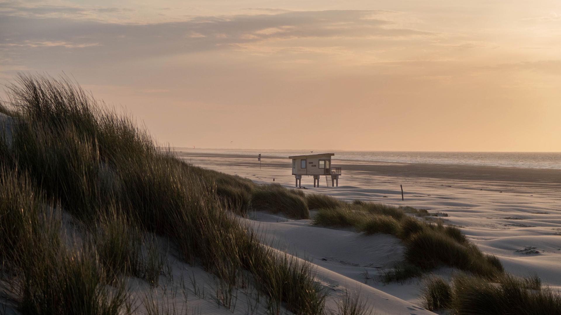 Küstenerosion - Riesige Sandaufschüttung soll Wattenmeerinsel Ameland ...