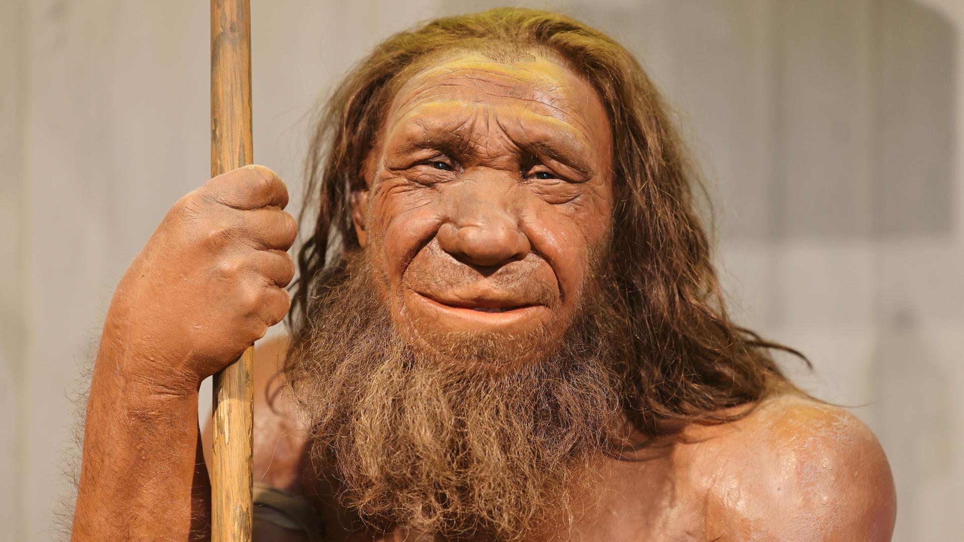 Genomforschung zu Neandertalern - Neue Erkenntnisse über Familienleben ...