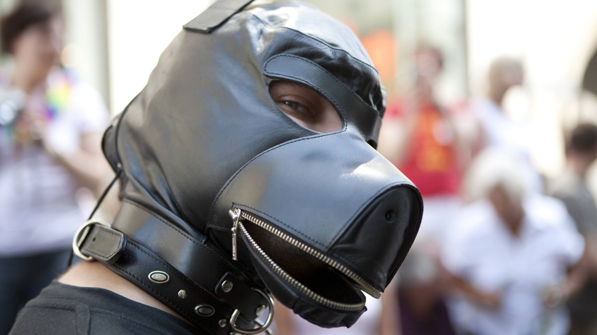 Petplay - Wenn Menschen Tiere spielen | deutschlandfunkkultur.de