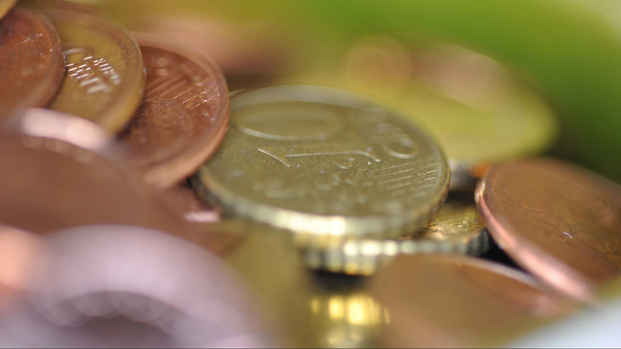 Die hundert wichtigsten Dinge - Was der Homo sapiens so braucht