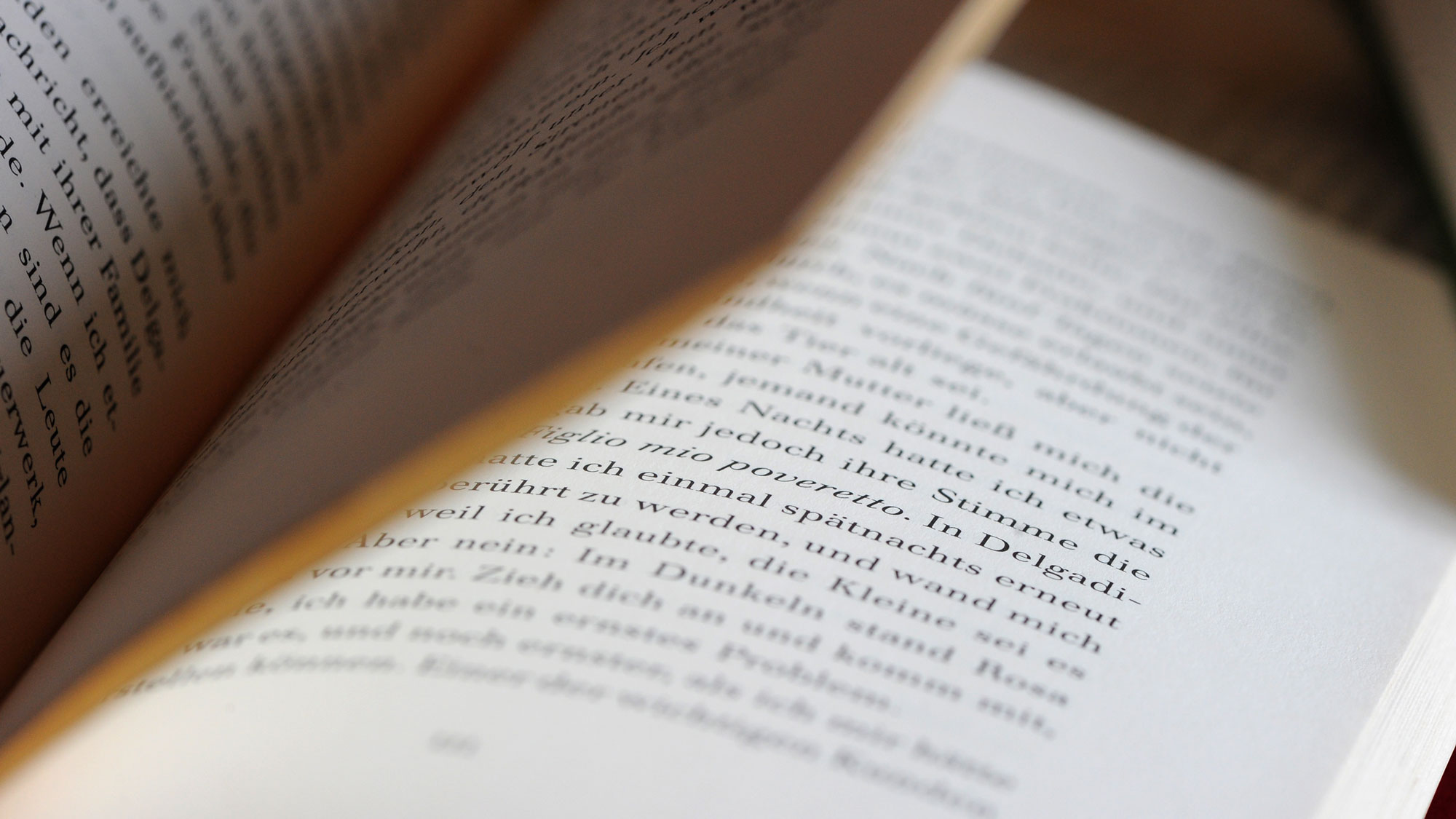 Literatur-Übersetzer - Die Arbeit der kreativen "Korinthenkacker ...