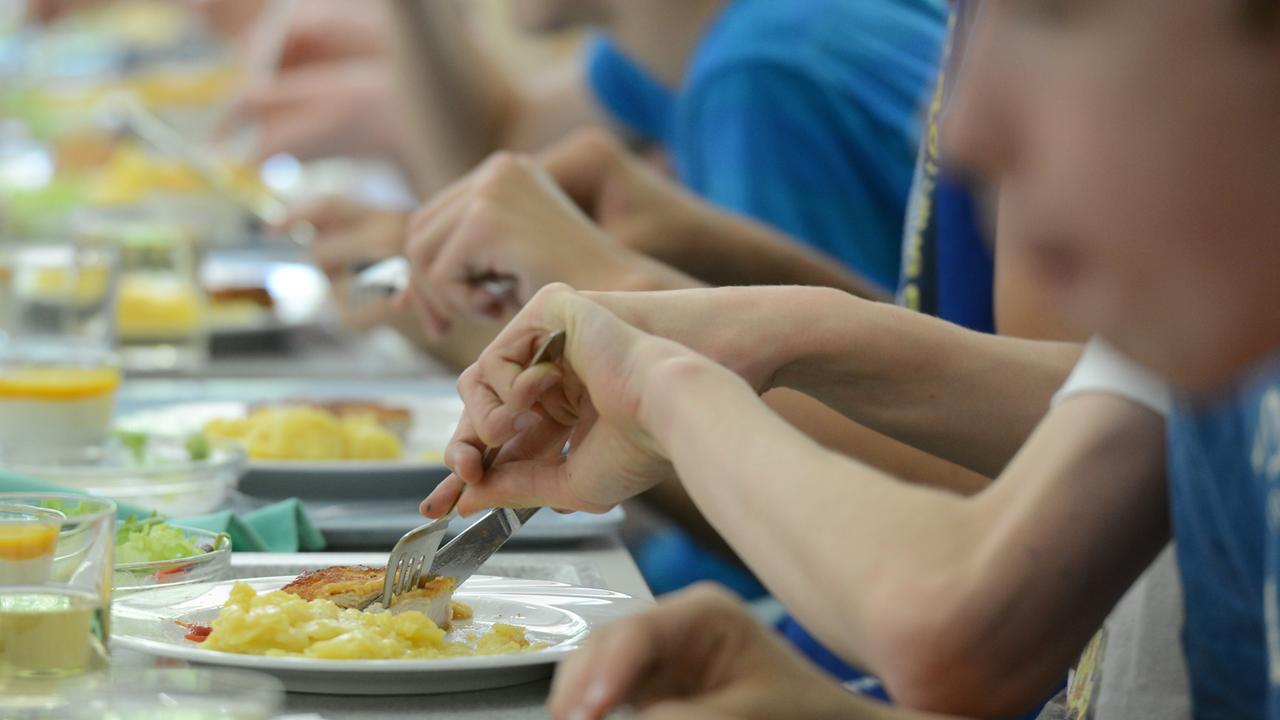 Studie zum Schulessen - Zu viel Fleisch, zu wenig Gemüse ...