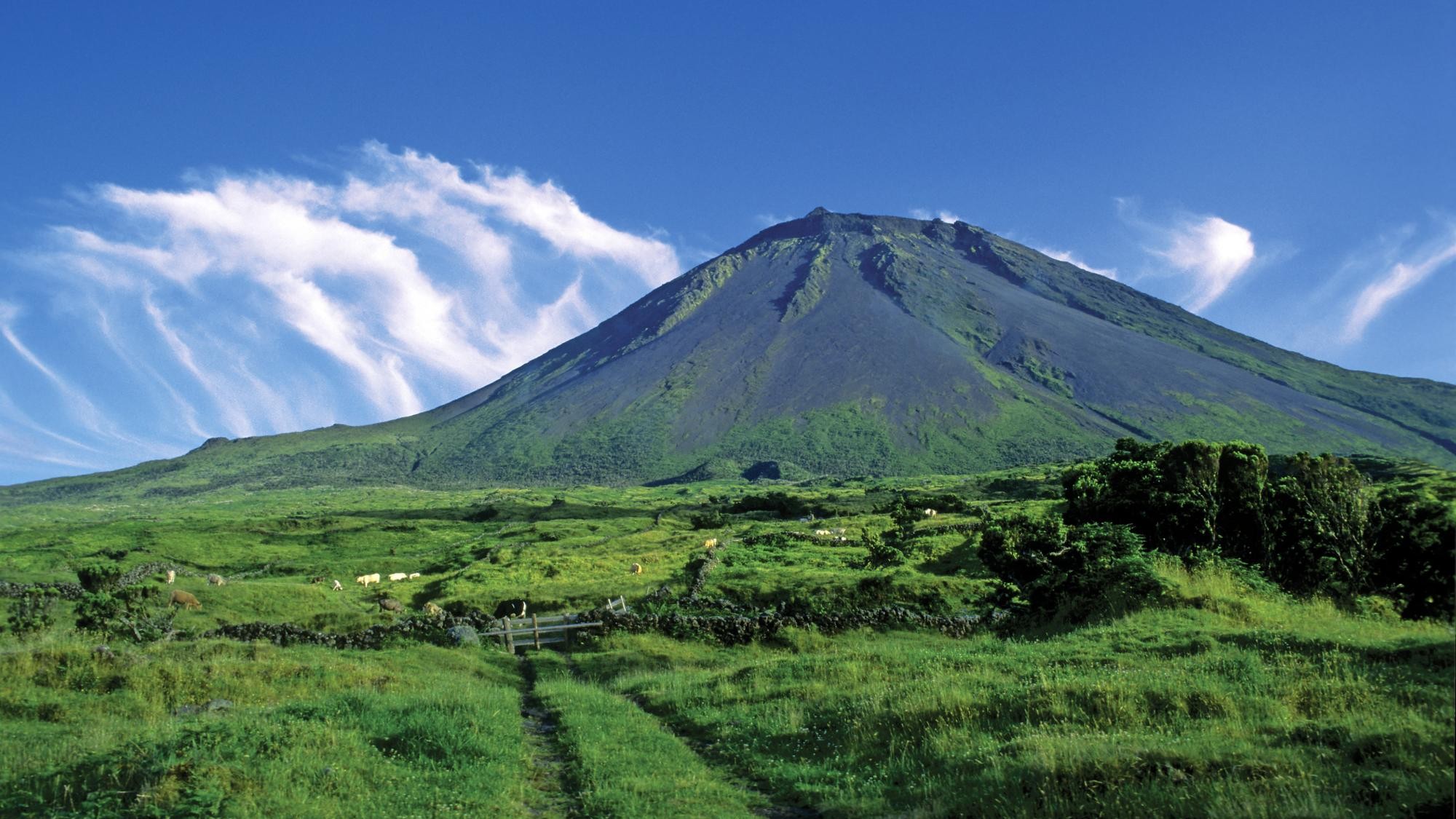 Erzähltag - Ursendung: Der Feuermann | kakadu.de