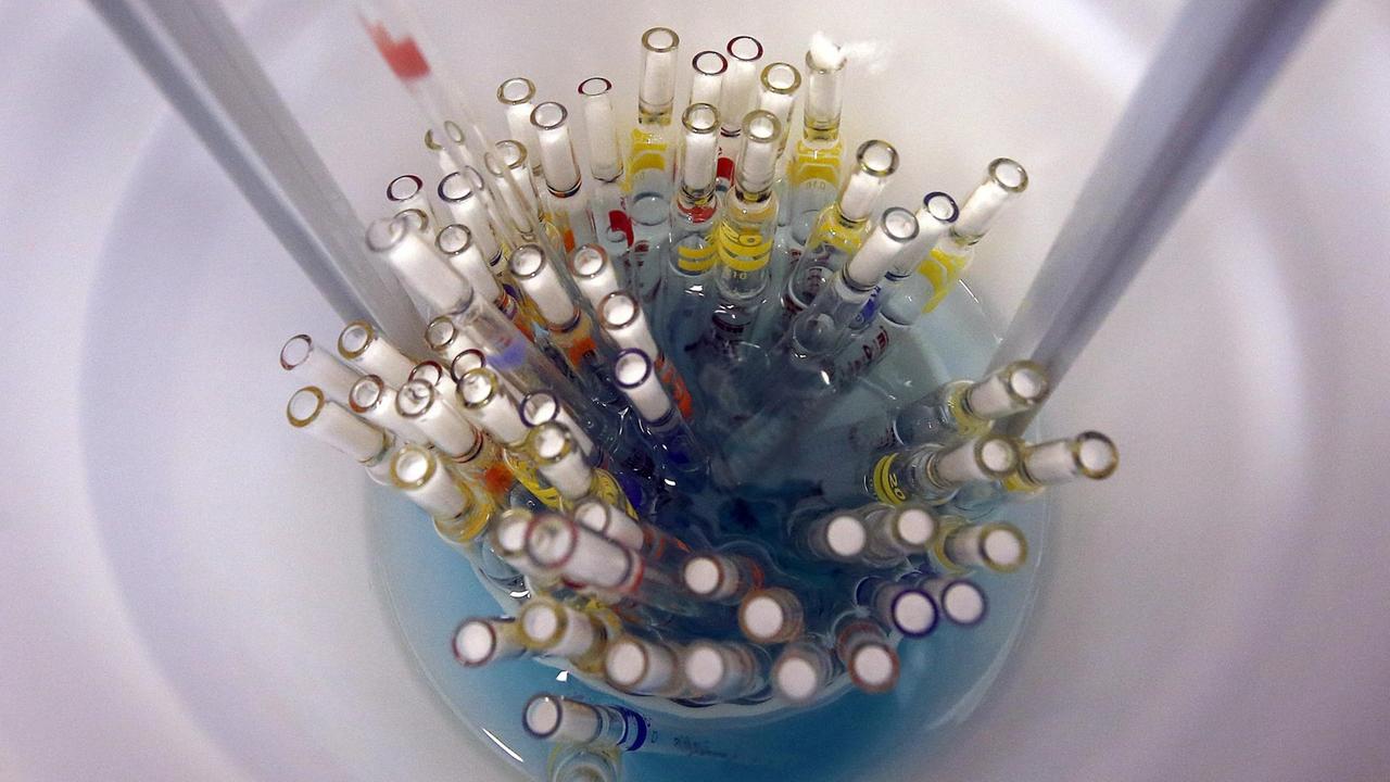 Genschere CRISPR/Cas9 - Chemie-Nobelpreis geht an zwei Gen-Forscherinnen