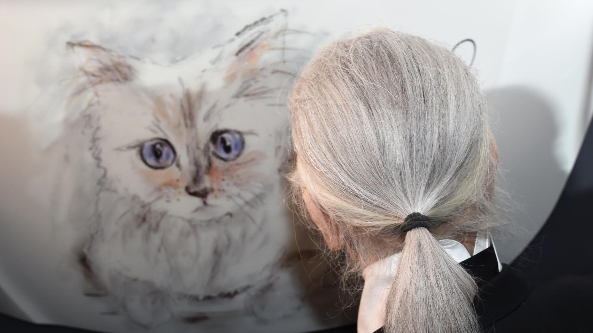 Aus den Feuilletons - Einen Oscar für das beste Filmtier | deutschlandfunkkultur.de