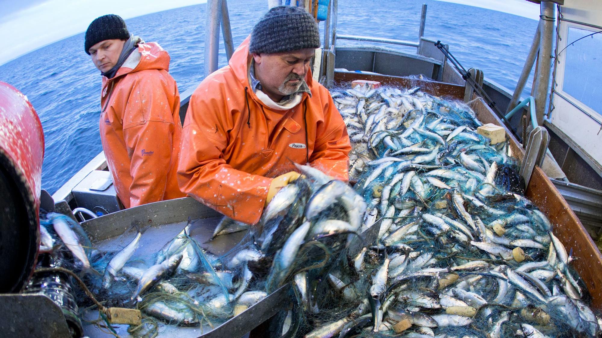 Fischerei mit Grundschleppnetzen - "Damit verfehlen Meeresschutzgebiete ...