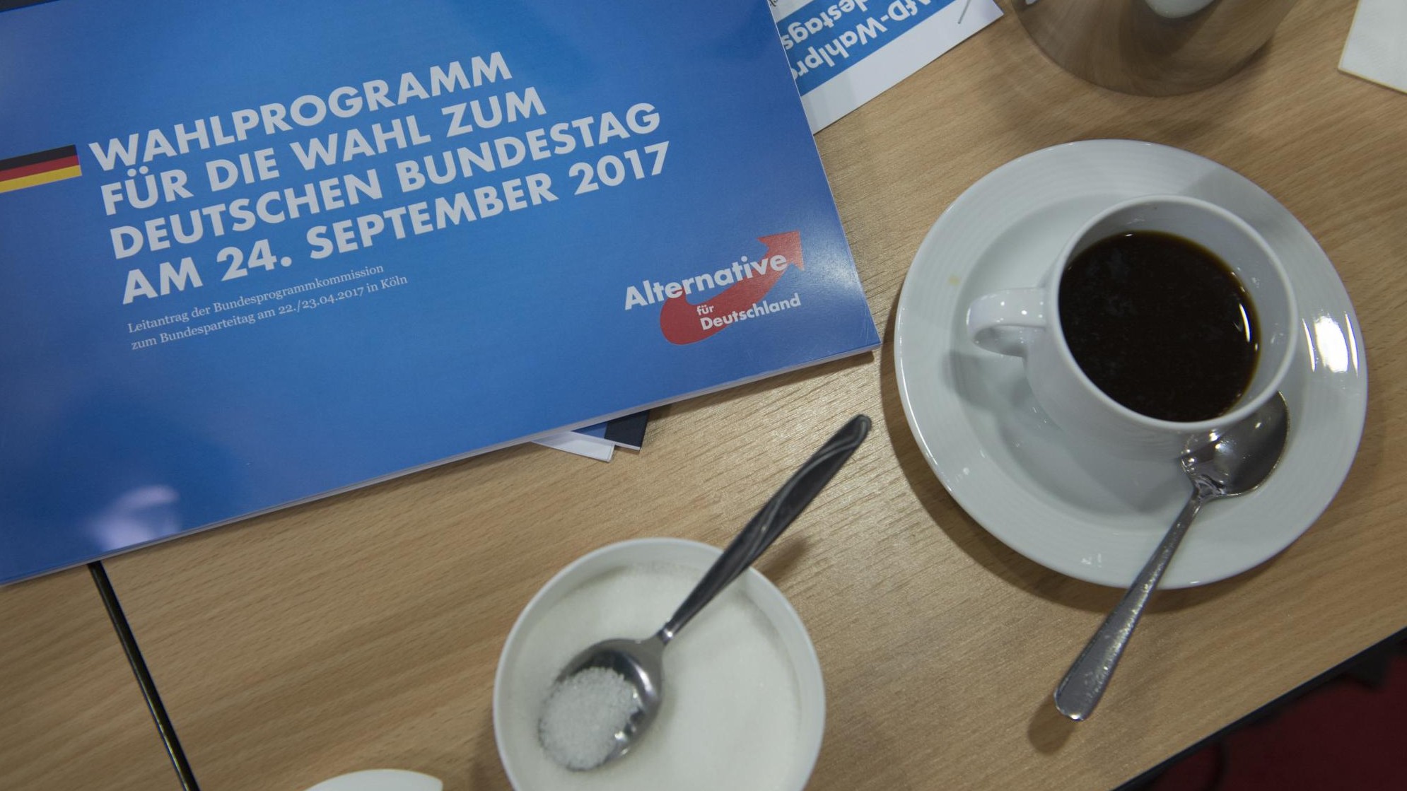 Bundestagswahl - Das Programm der AfD | deutschlandfunk.de