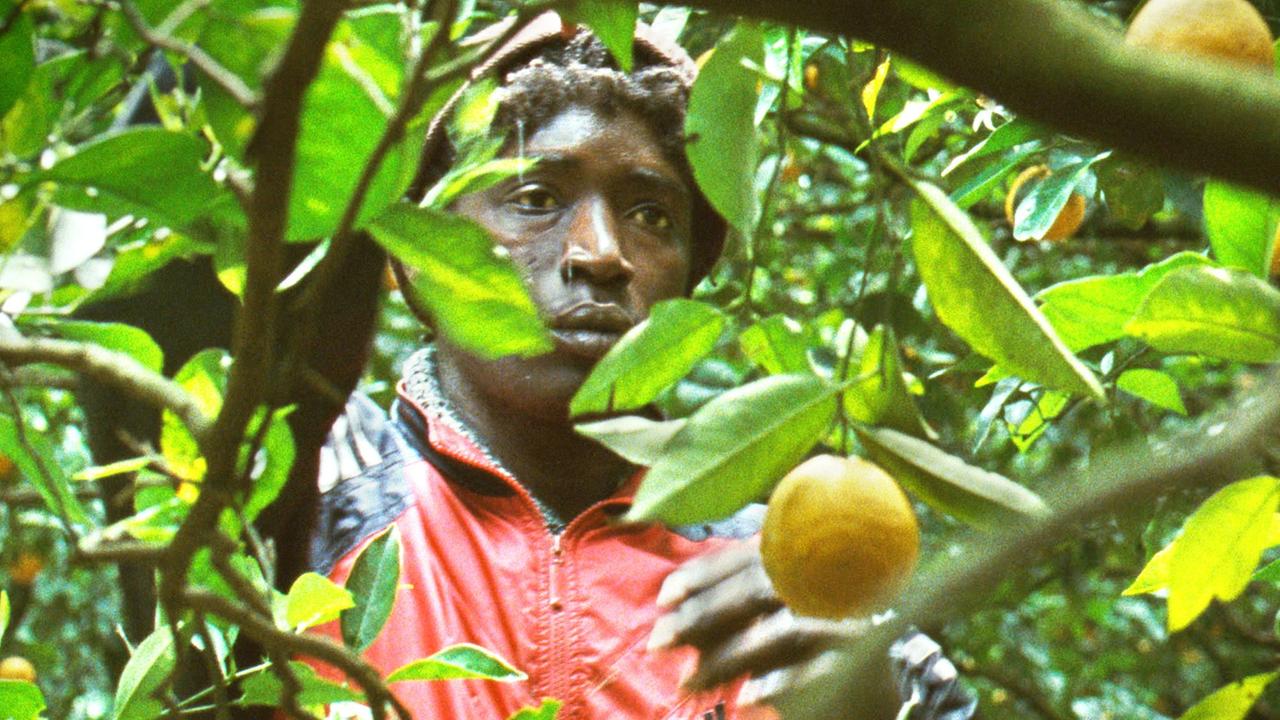 Jonas Carpignano über seinen Film "Mediterranea" - "Ich will die ...