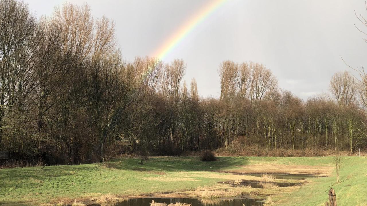 Wetter - Wechselnd bewölkt mit Regen und kurzen Gewittern ...