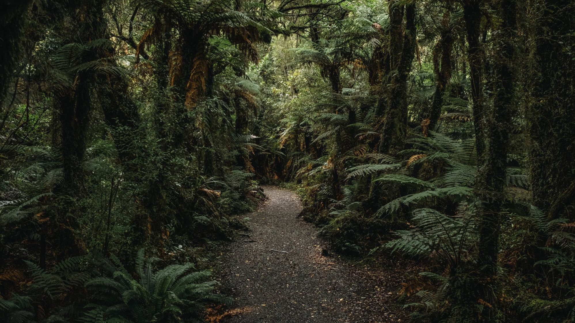 Entführungsüberlebender Marc Wallert - "Es ist extrem wichtig, schnell ...