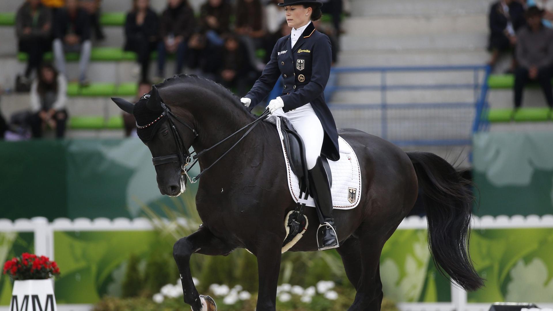 Gold für Dressur-Reiter