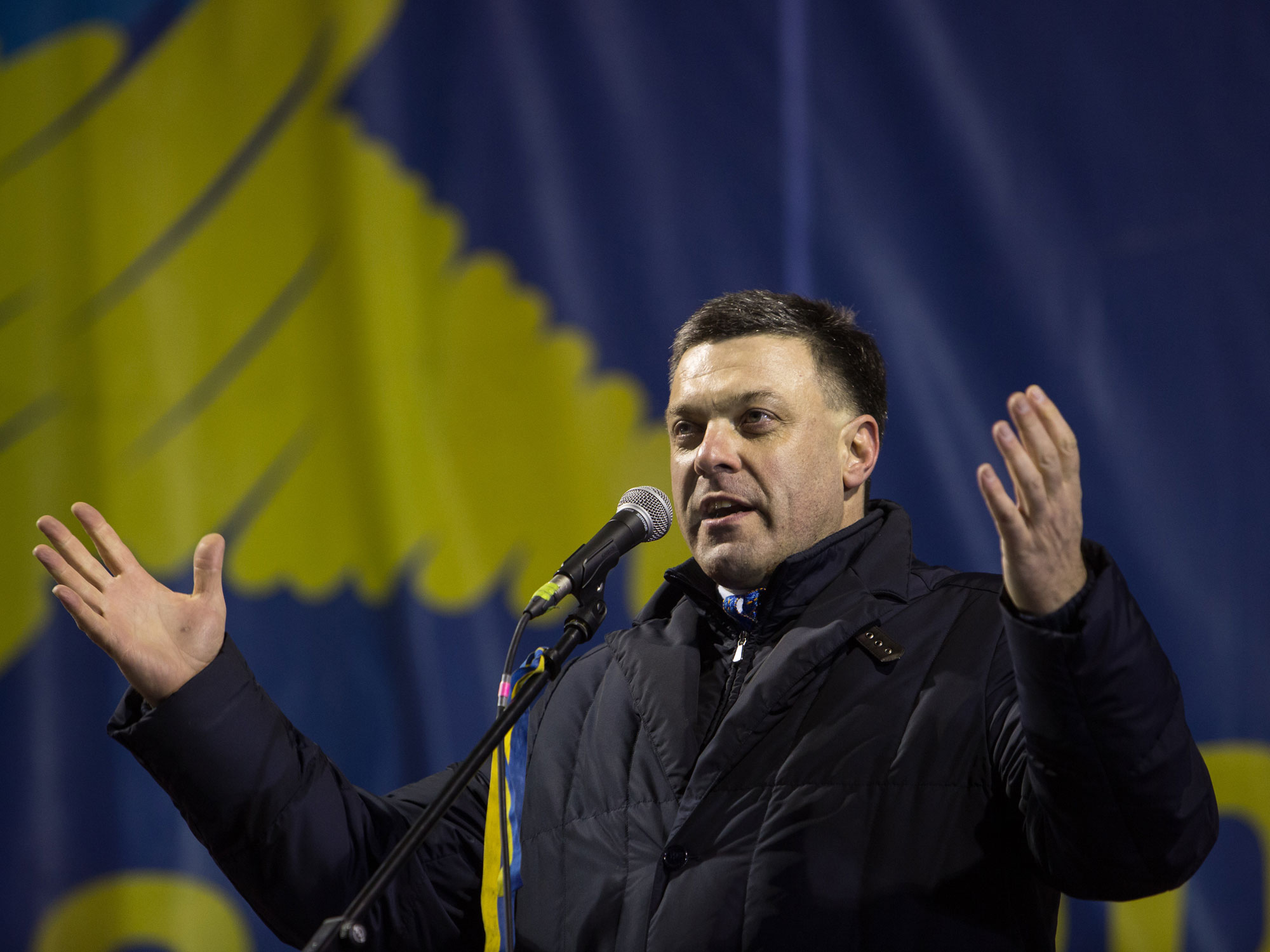 Ukraine - Swoboda-Partei ist "keine entscheidende politische Kraft ...
