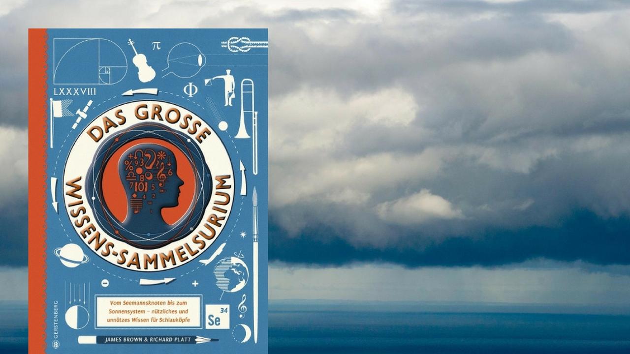 Brown/Platt: "Das große Wissens-Sammelsurium" - Kunterbuntes Weltwissen ...