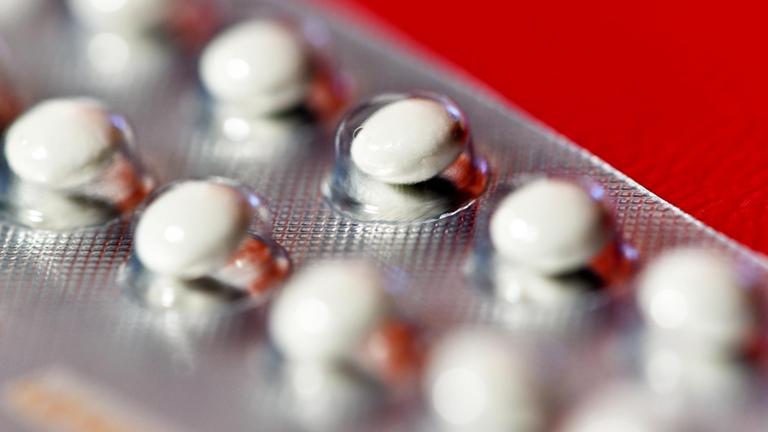 Aus den Feuilletons - Für ein Ende der Fortpflanzung ...