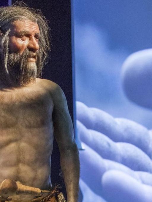 German Mummy Project - Der die Mumien durchleuchtet ...