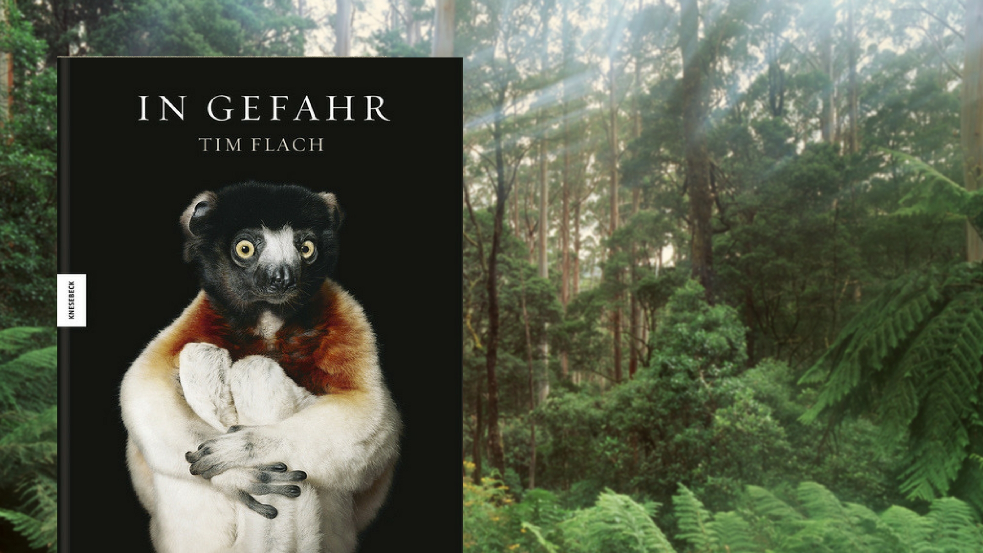 Tim Flach: "In Gefahr" - Bedrohte Schönheiten | deutschlandfunkkultur.de