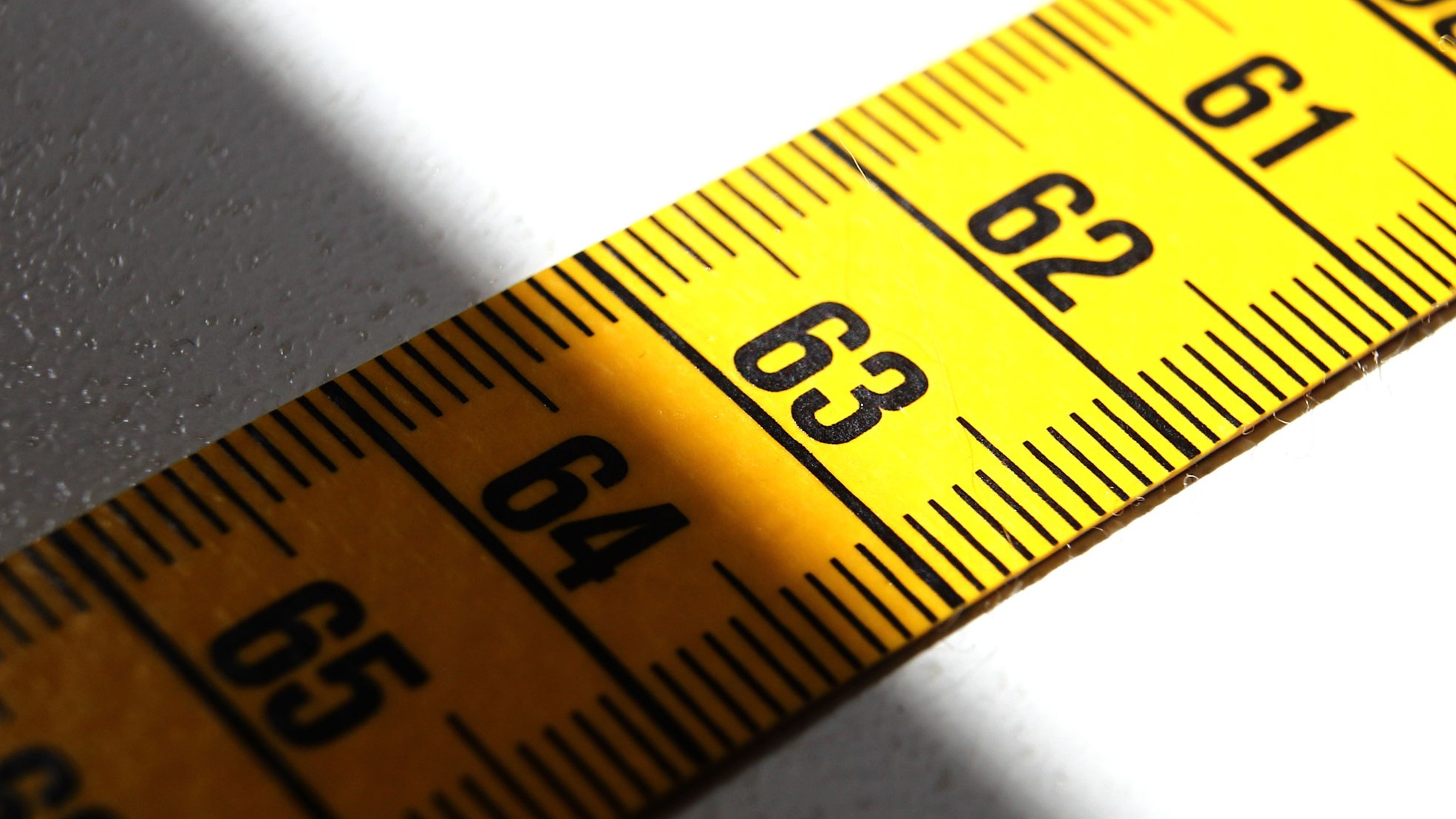 Studien - Auf die Größe kommt es an | deutschlandfunkkultur.de