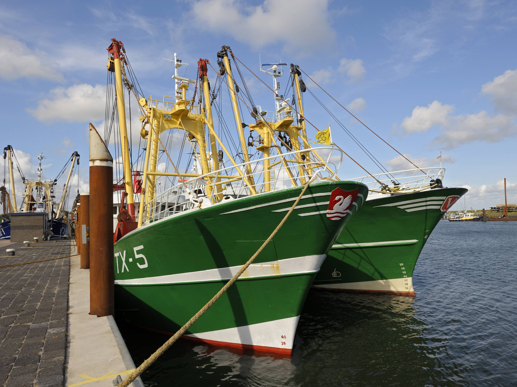 Fischfang in den Niederlanden - Matjes, Masten & Matrosen