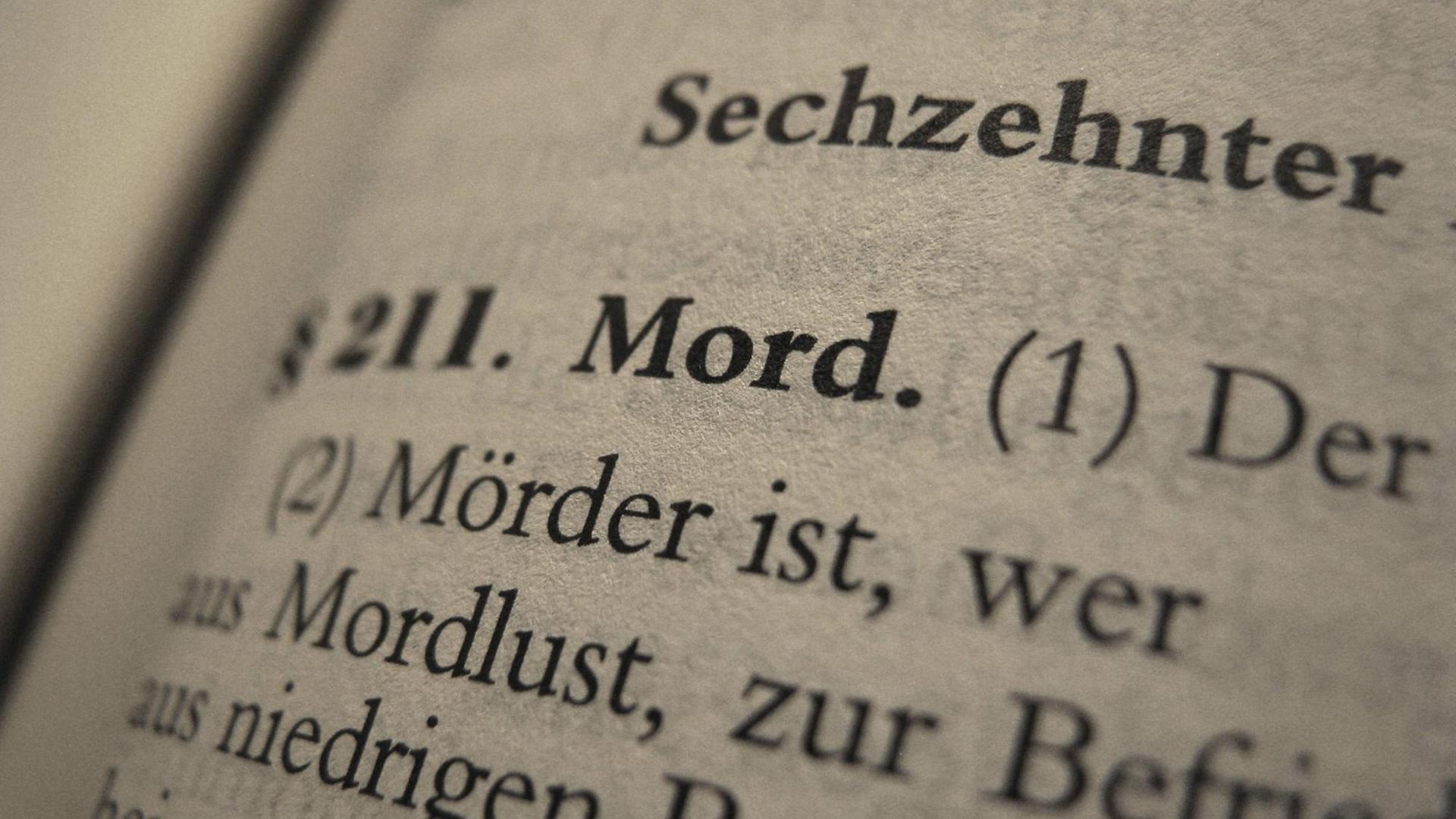 Mord oder Totschlag - Vom Versuch, das Strafrecht zu reformieren ...