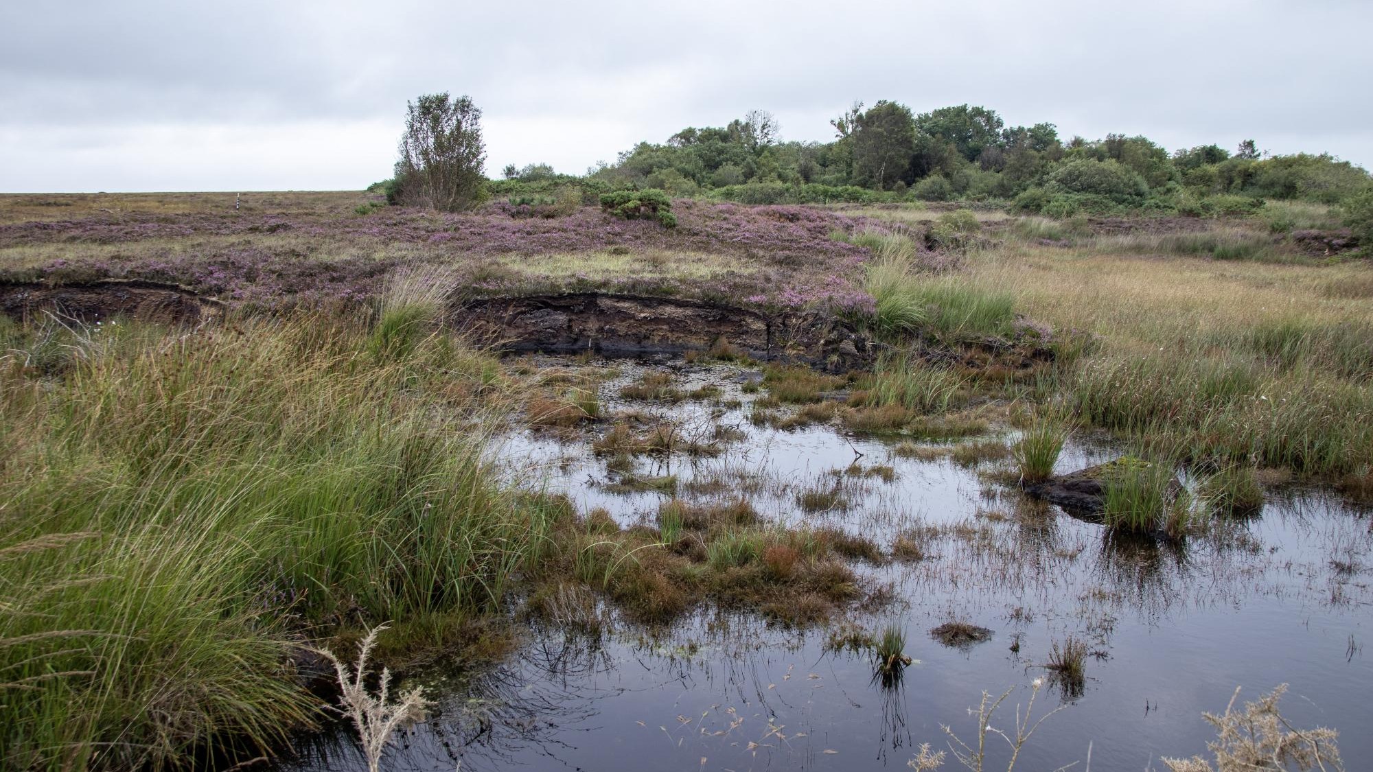 Klimaschutz - Irlands schwieriger Abschied vom Torf ...