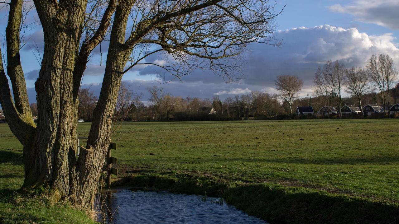 Wetter - Stark bewölkt, im Südwesten teils länger sonnig ...