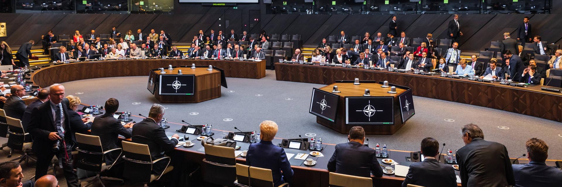 NATO - Die wichtigsten Beiträge zur "North Atlantic Treaty Organization"